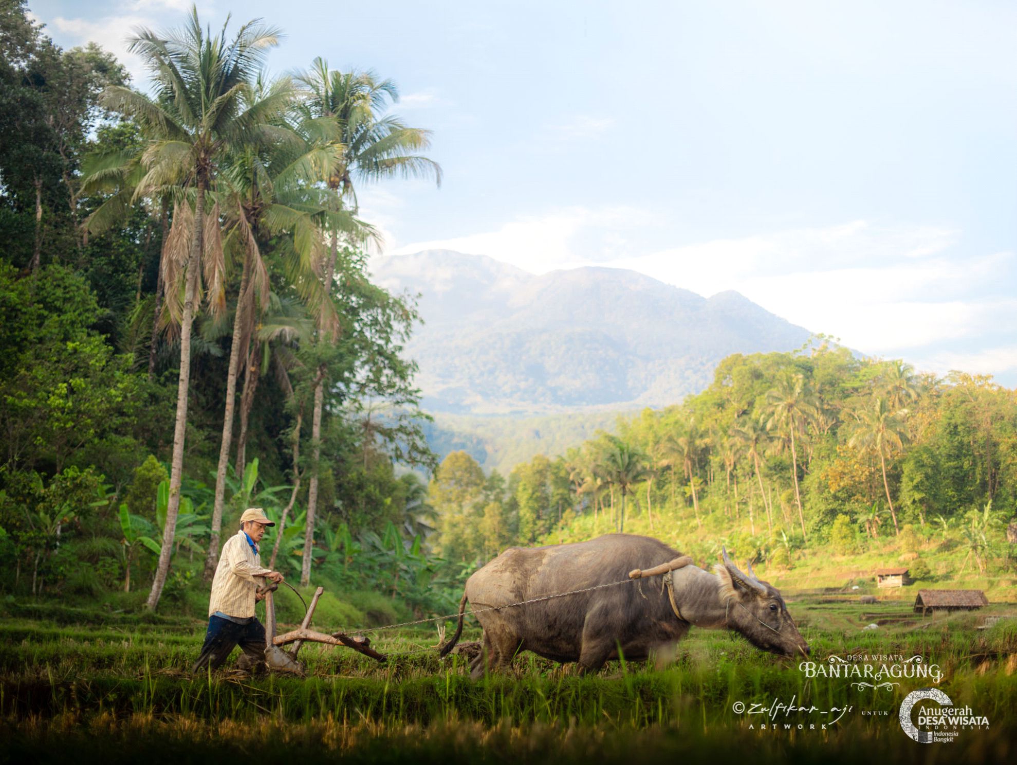 Belajar Menanam Padi Organik | Atourin