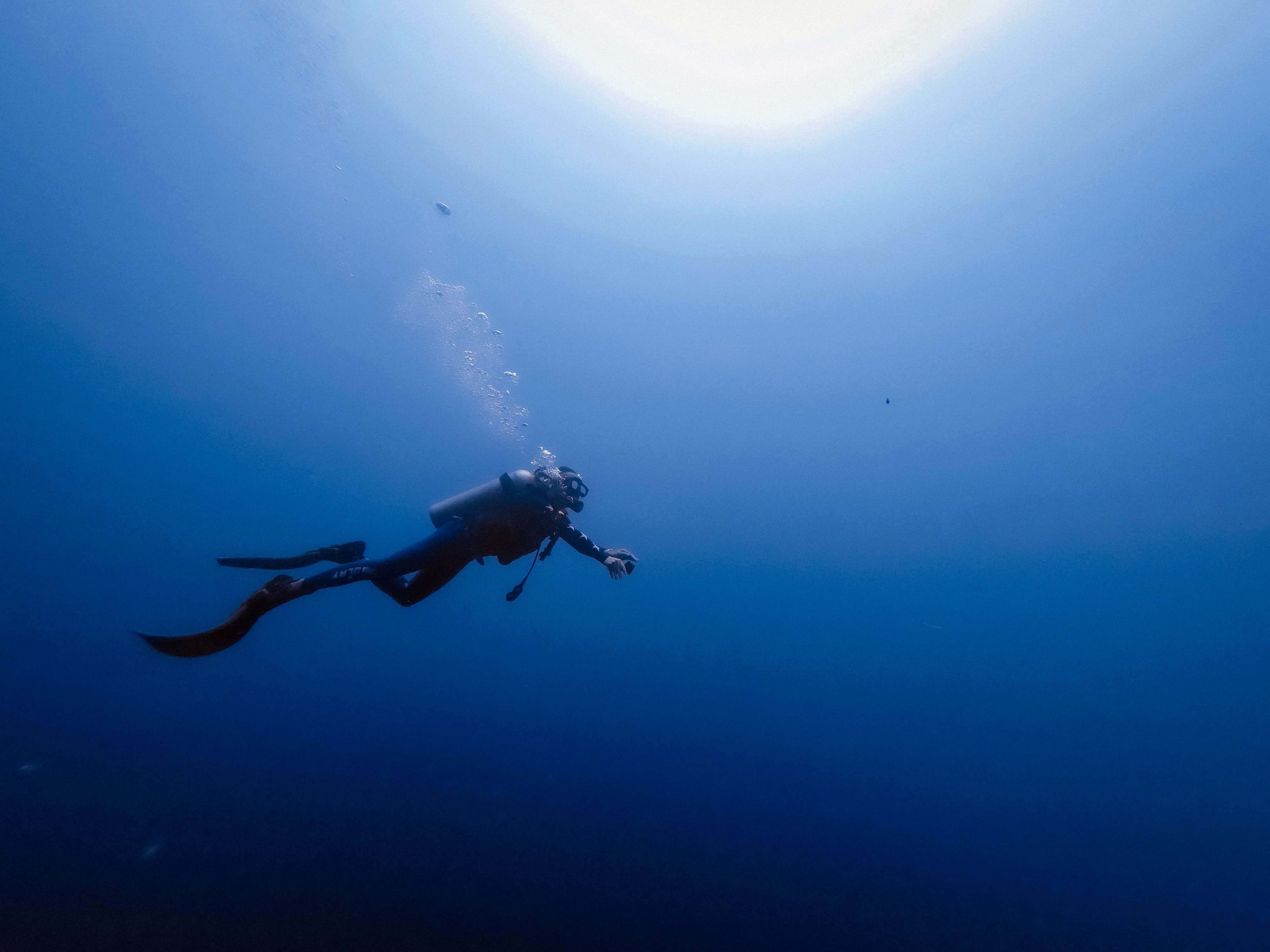 Freedive di Sekitar Pulau Manipa | Atourin