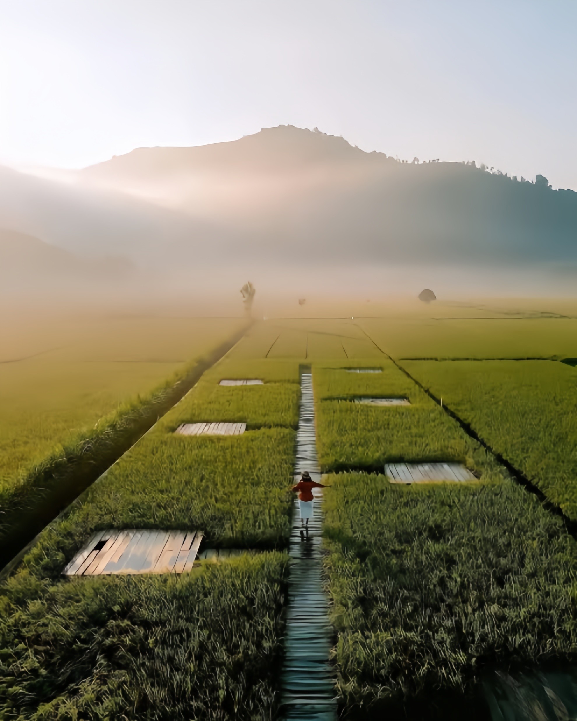 Lombok Cycling Tour: Tempos Rice Field, Hand Weaving Village & Pengsong ...