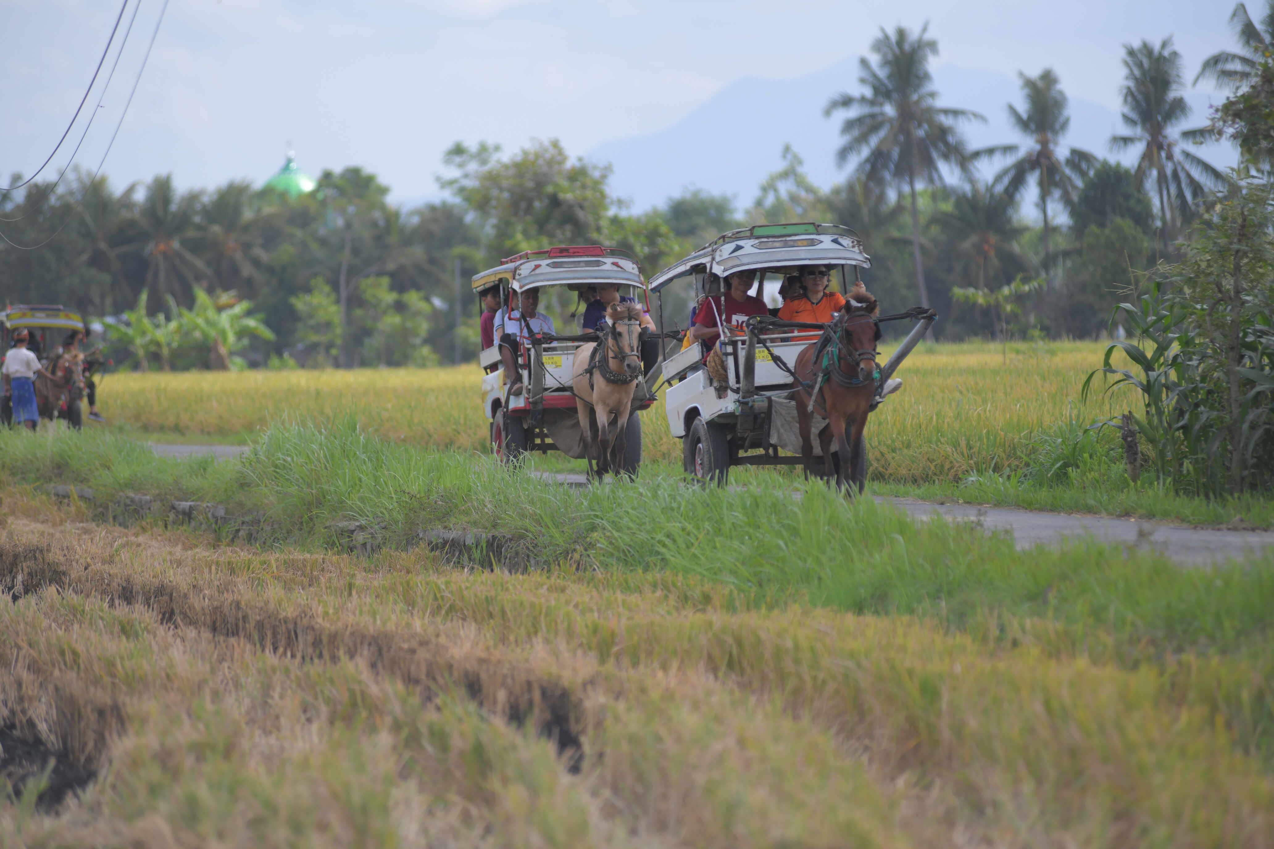Tour Cidomo | Atourin